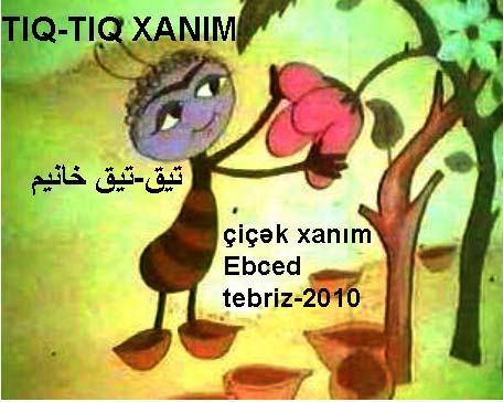 Tıq-tıq xanım